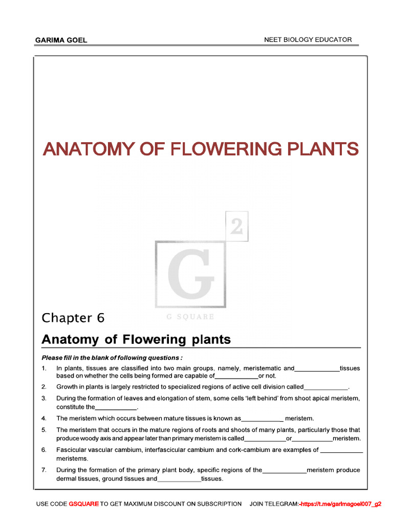 Anatomy of Flowering Plants @g2 | PDF