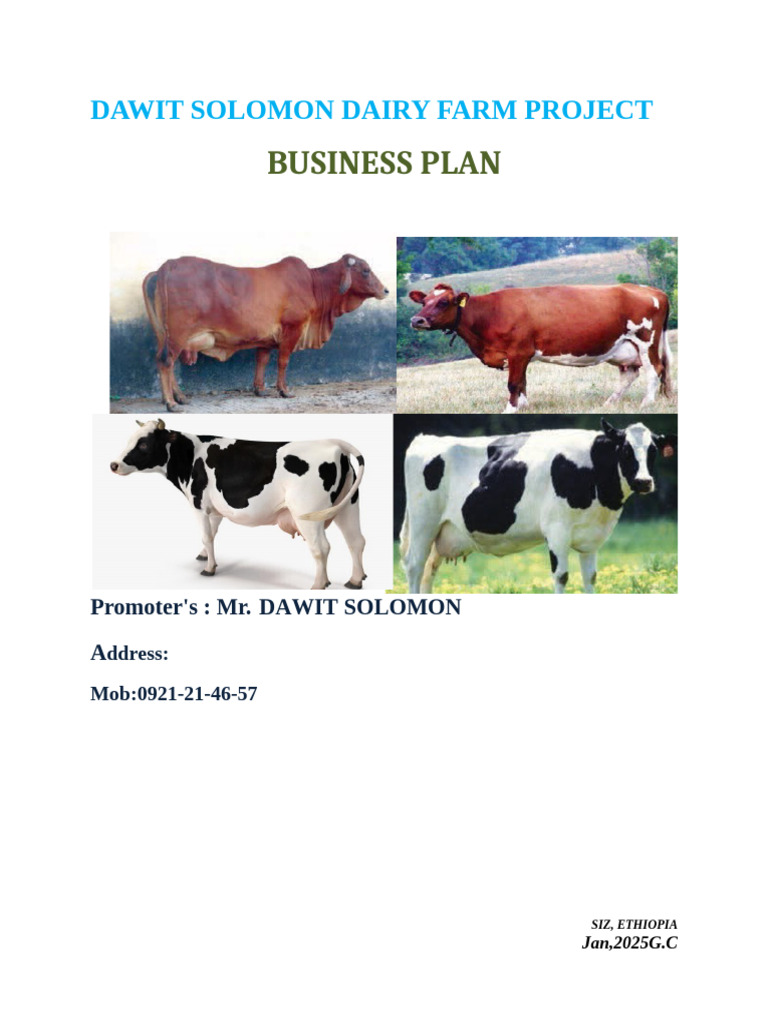 Dawit Sol COVER | PDF