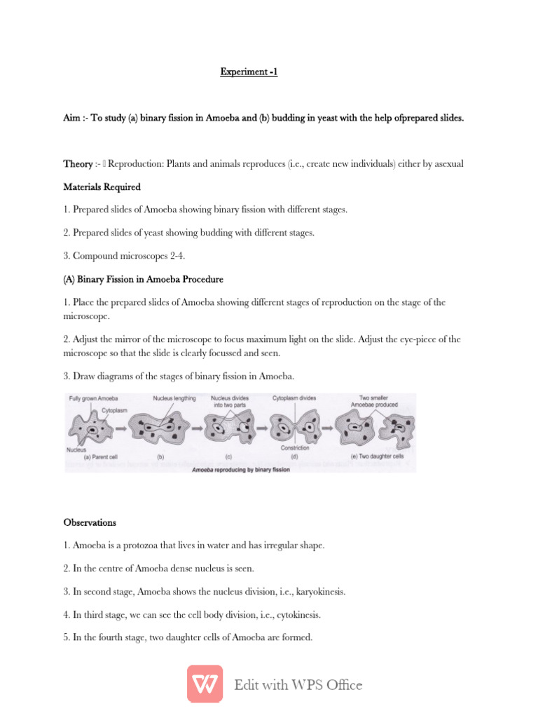 Photosynthesis and Reproduction Experiments | PDF | Sodium Hydroxide ...