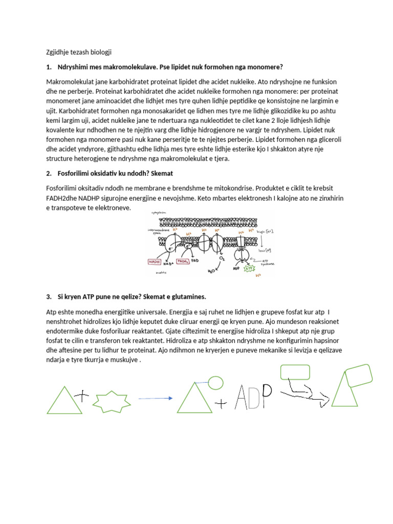 Zgjidhje Tezash Biologji | PDF