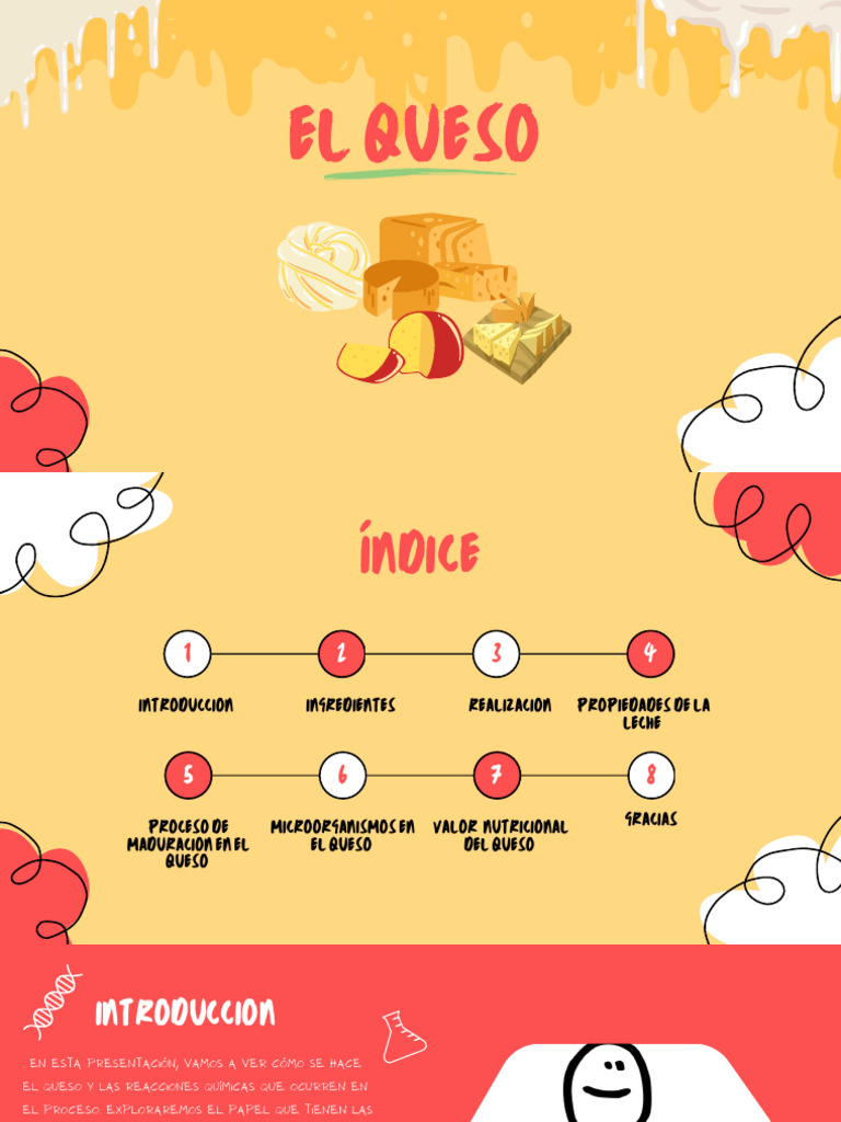 De La Leche Al Queso | PDF | Queso | Fermentación