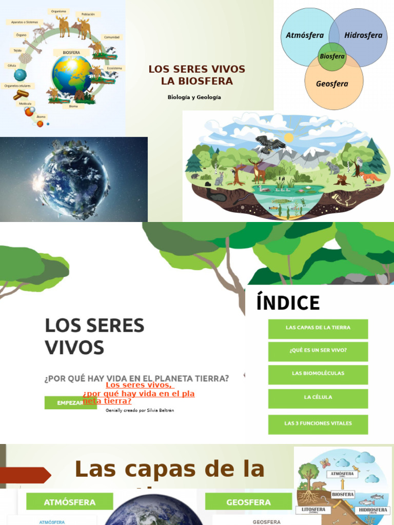 SERES VIVOS. Introducción 2 | PDF | Biología Celular) | Organismos