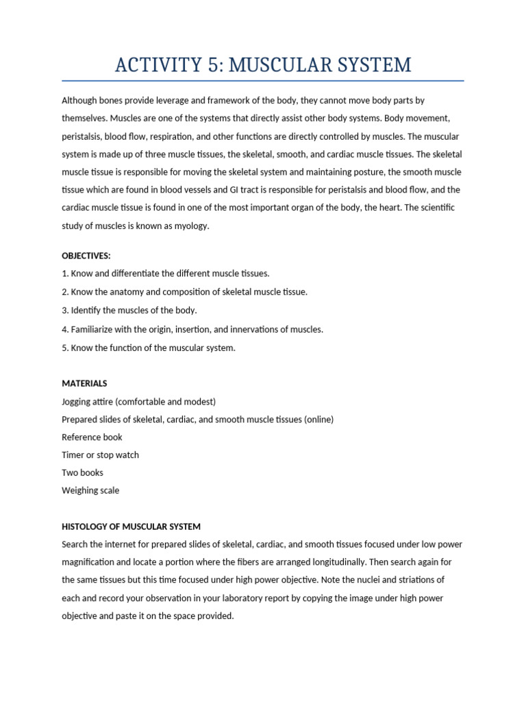 Anaphy Lab Activity 5 Muscular System October 22 2024 | PDF | Muscle ...