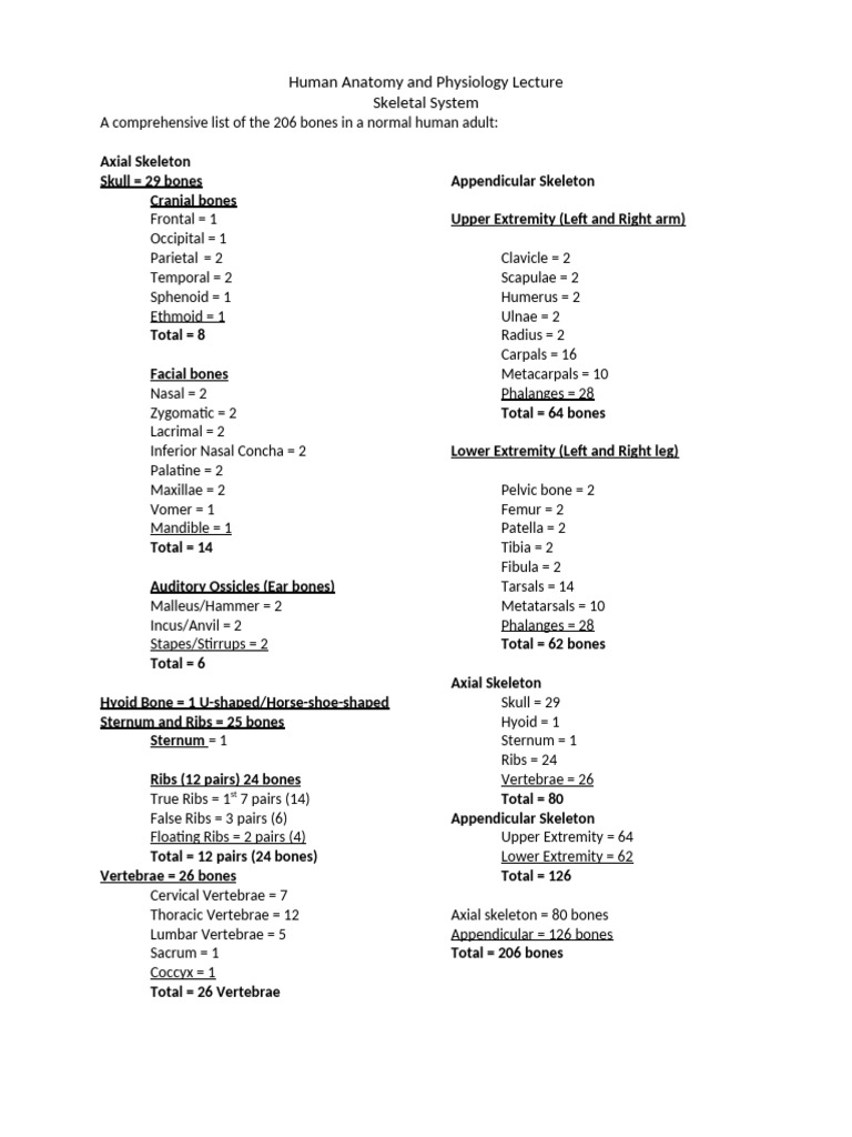 Comprehensive List of 206 Human Bones | PDF | Skull | Musculoskeletal ...