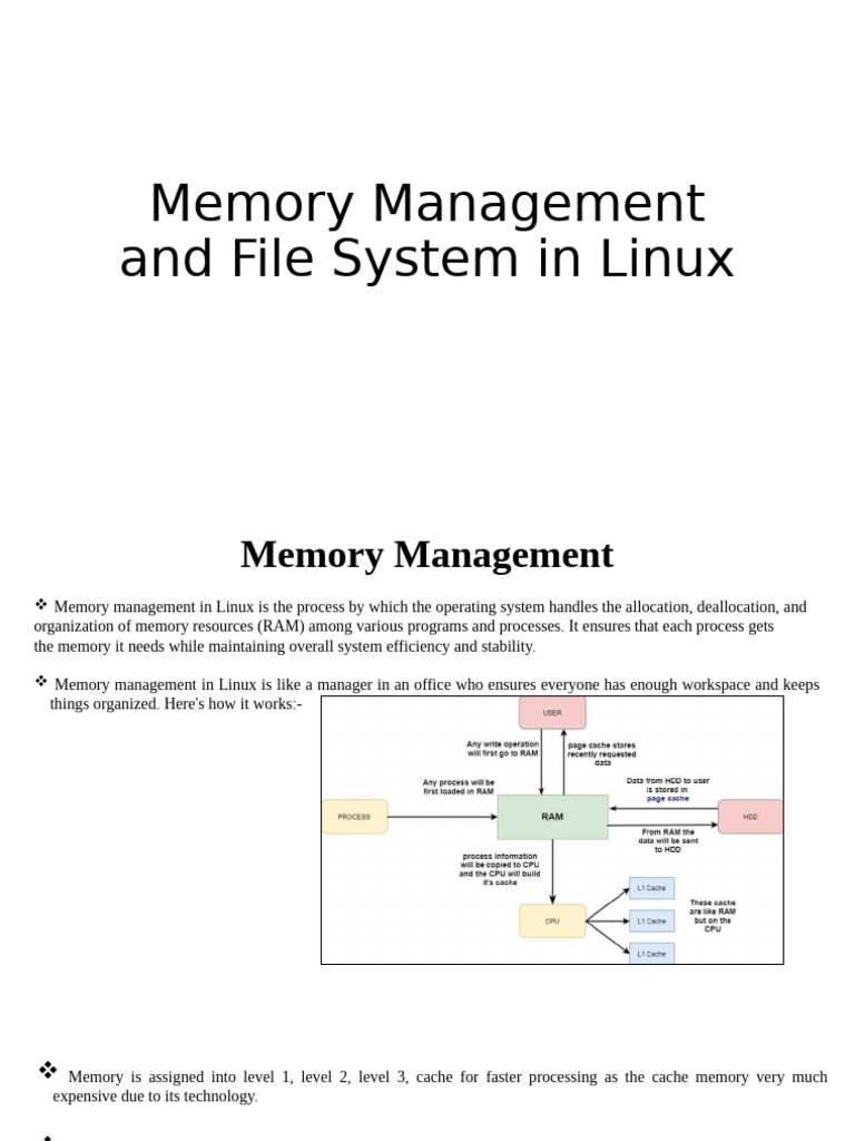My Case Study | PDF | Cache (Computing) | Computer File