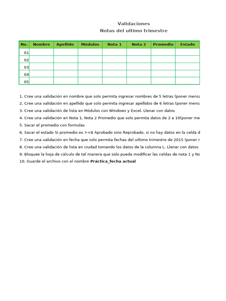 Validaciones y Filtros en Excel | PDF