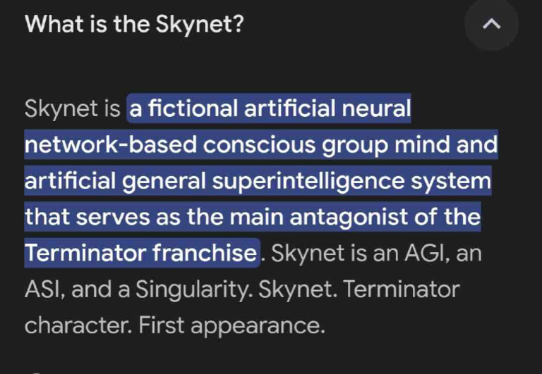 Skynet | PDF