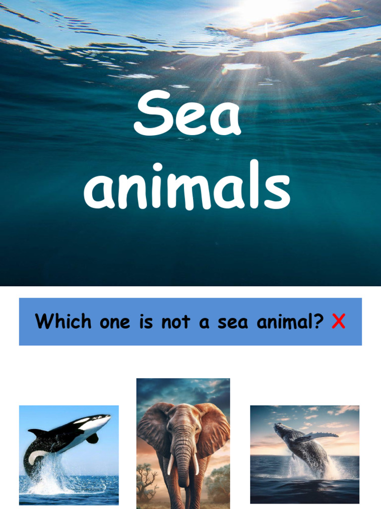 Sea Animals | PDF