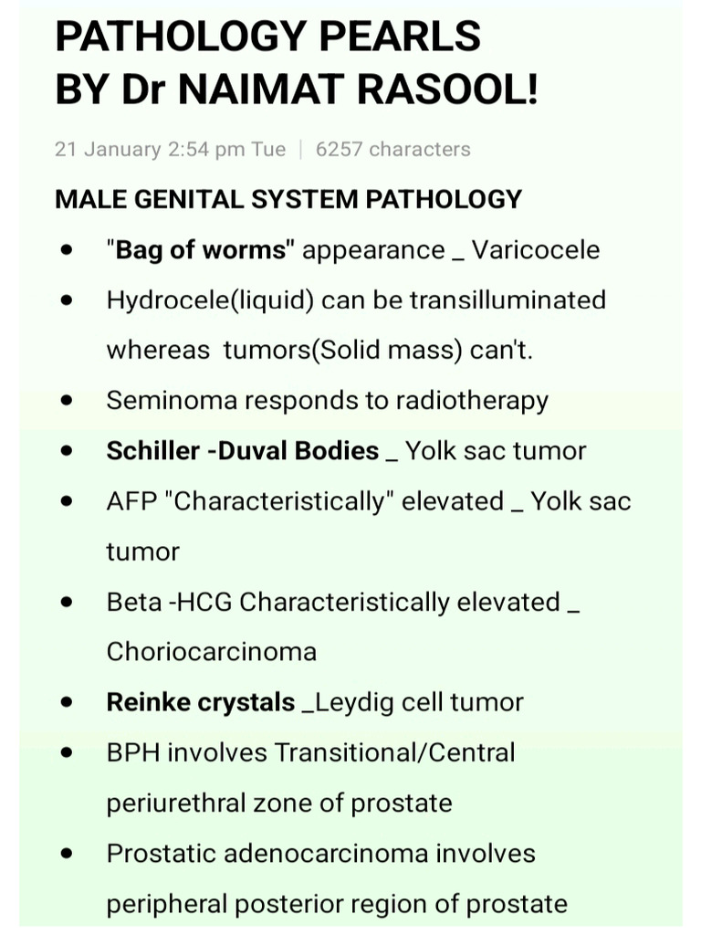 Male Genital System Pearls by DR Naimat Rasool | PDF