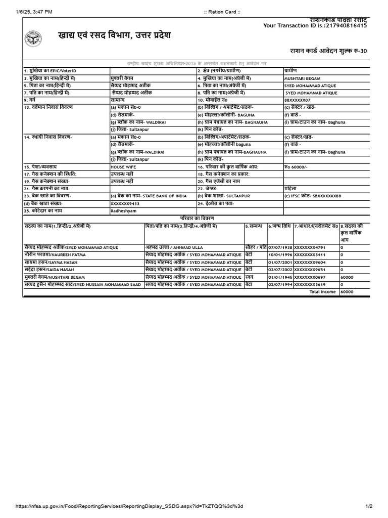 Syed Husain Mohammad Saad | PDF
