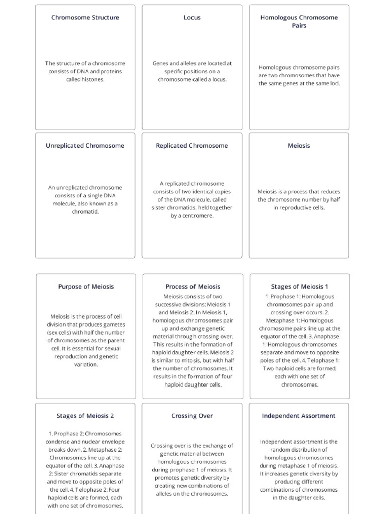 Meiosis Flashcards | PDF