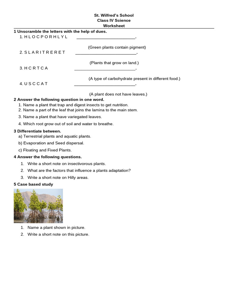 Class IV Science Worksheet: Plants | PDF