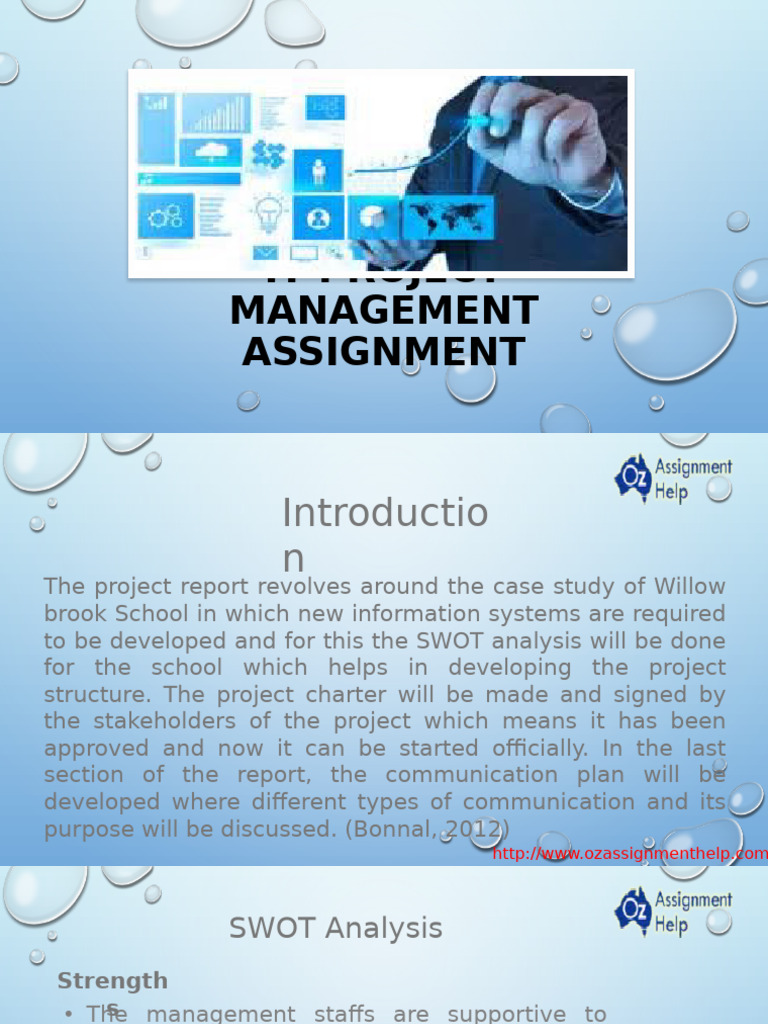 It Project Management Assignment | PDF | Business