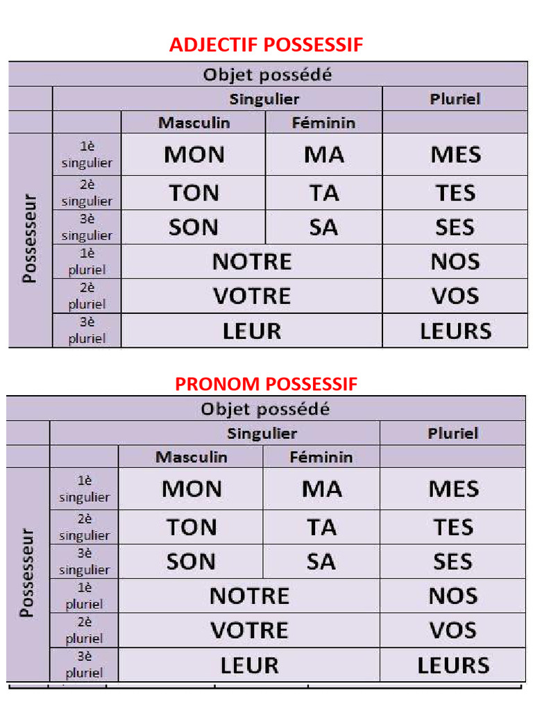Adjectif Pronom Possessif | PDF