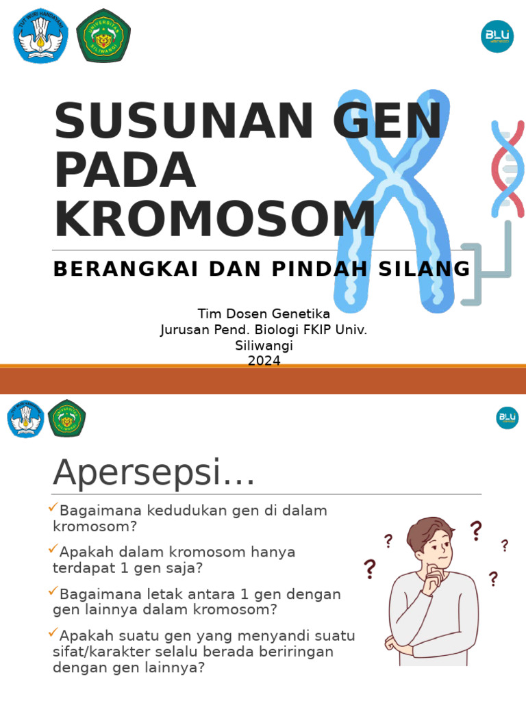 Peta Kromosom - Edited 2024 | PDF