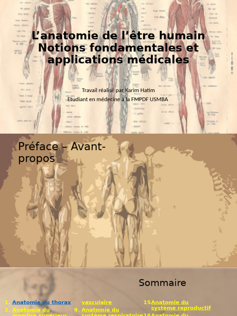 L'Anatomie de L'être Humain | PDF