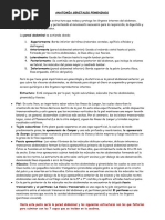 Incisión de Pfannenstiel: Técnica y Aplicaciones | PDF | Pelvis | Vagina