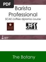 Barista-Course-Handbook Coffee | PDF | Coffee | Drink