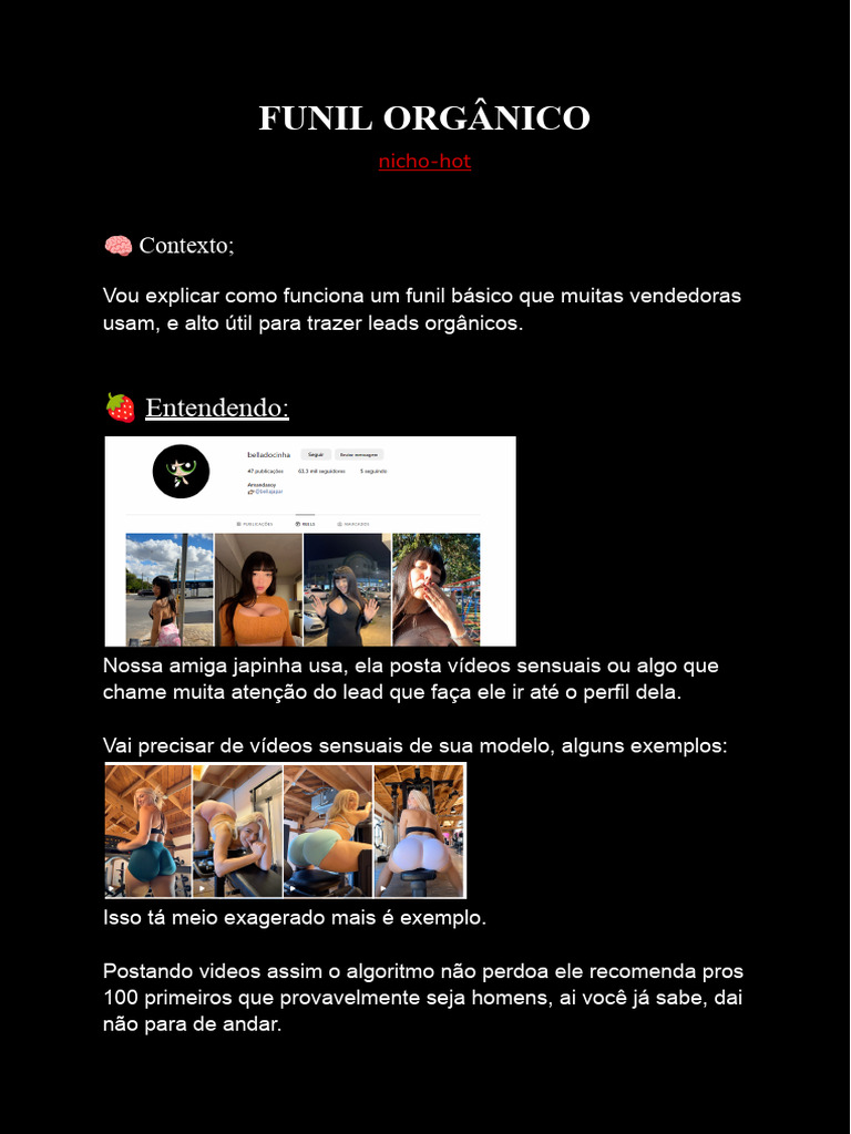 Funil Orgânico - Hot | PDF