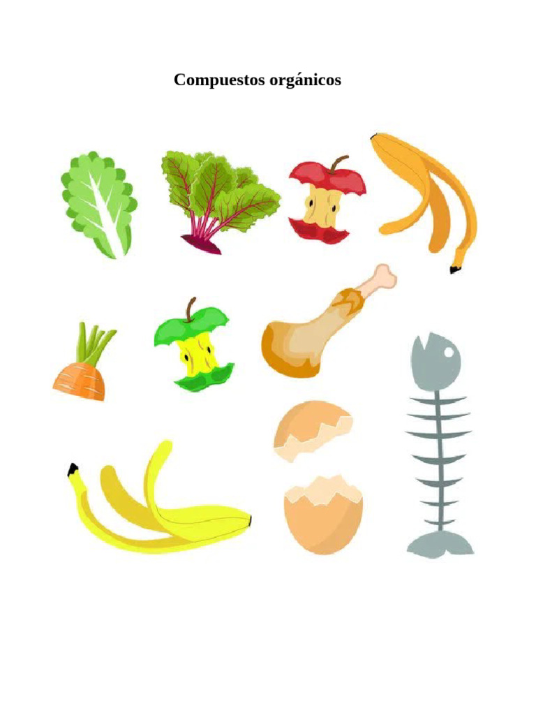 Componentes Orgánicos e Inorganicos | PDF