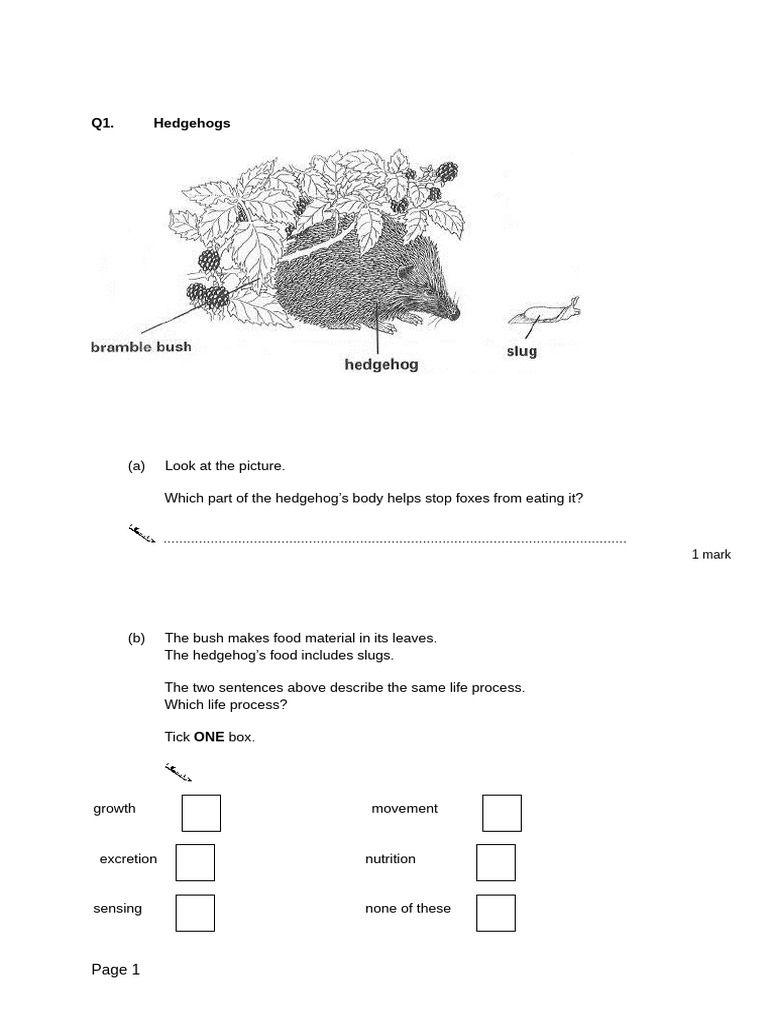 Habiatts and Adaptation - Level 5 - Questions | PDF | Trees | Plants