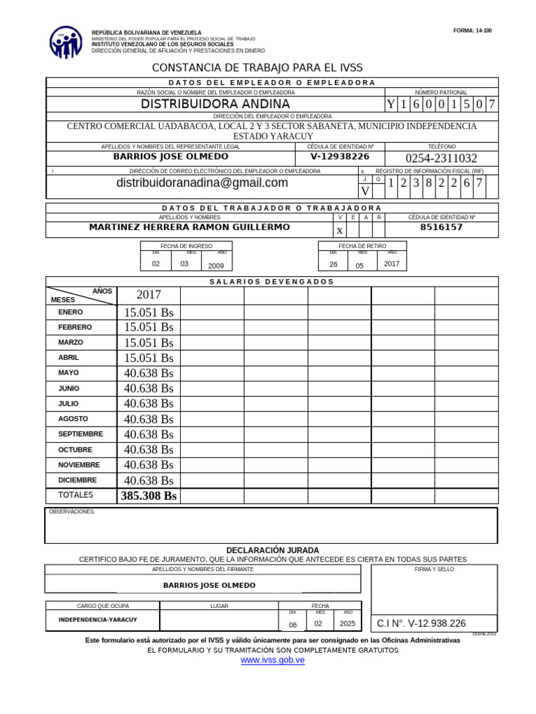 Formato 14 100 Ivssssss | PDF