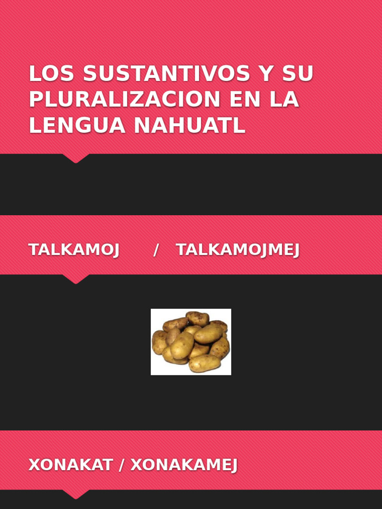 Los Sustantivos | PDF