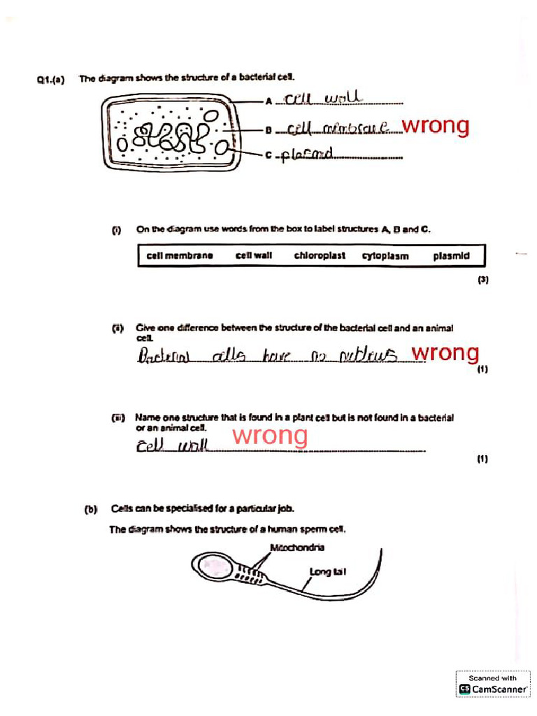 Marked Assignment | PDF