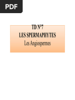 Le Carpelle : Organe des Angiospermes | PDF | Fruit | Embryon