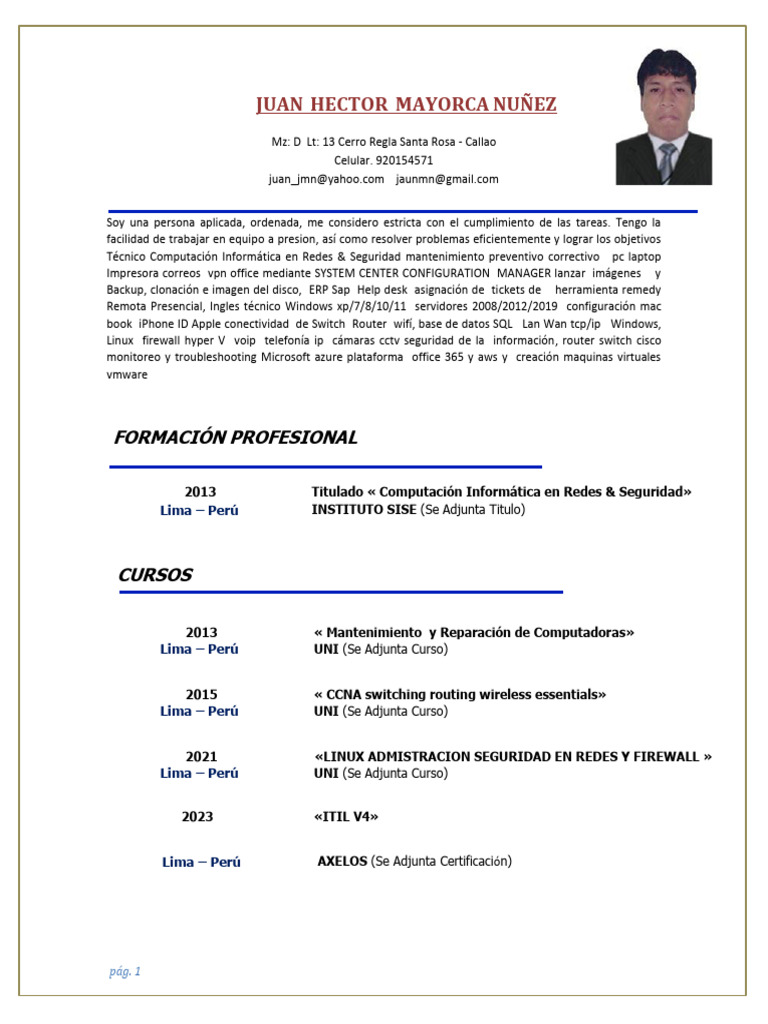 Curriculum Vitae (2) | PDF | Red privada virtual | Microsoft Windows