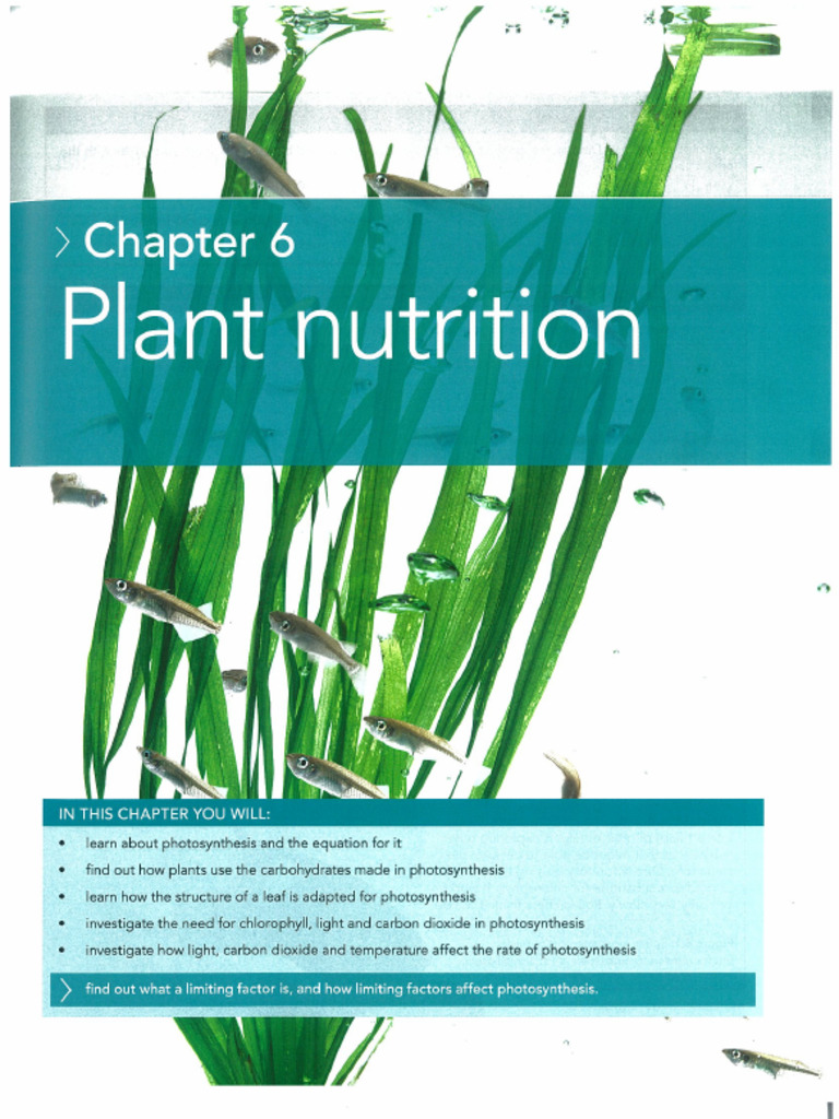 cha 6 plant nutrition | PDF cha 6 plant nutrition | PDF