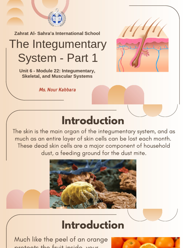 The Integumentary System - Part 1 | PDF | Integumentary System | Skin