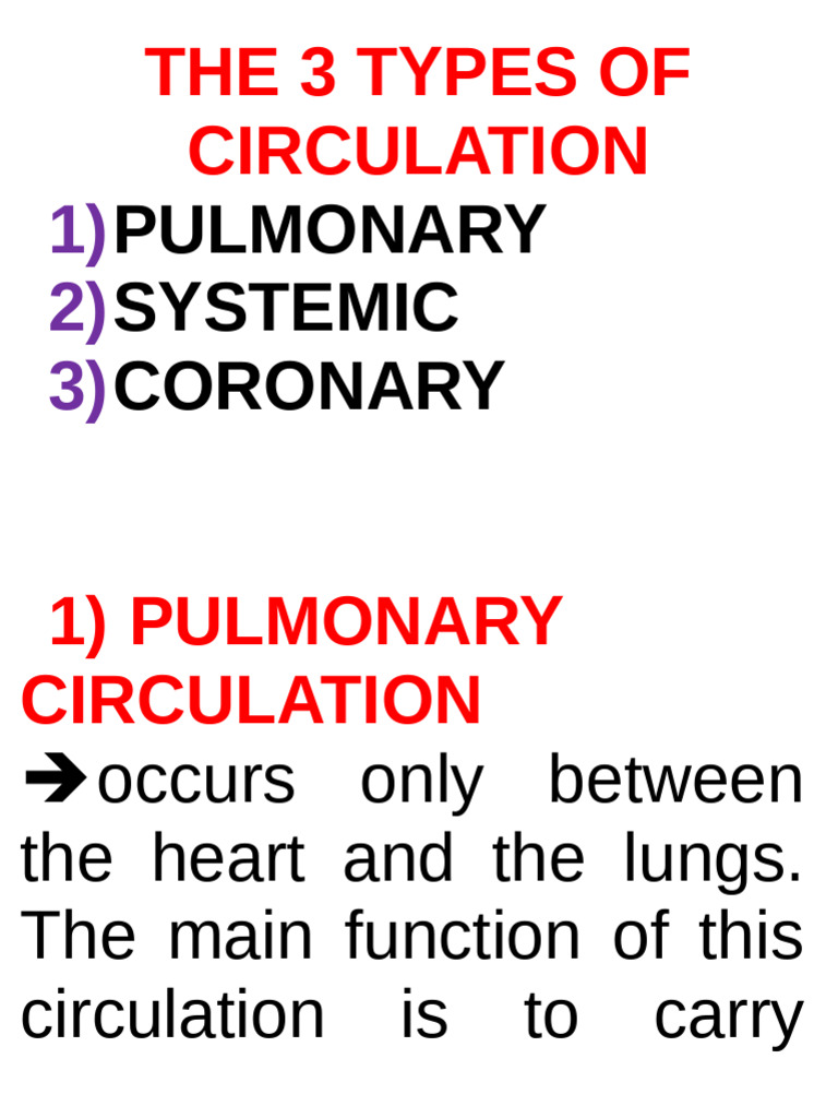 The 3 Types of Circulation | PDF