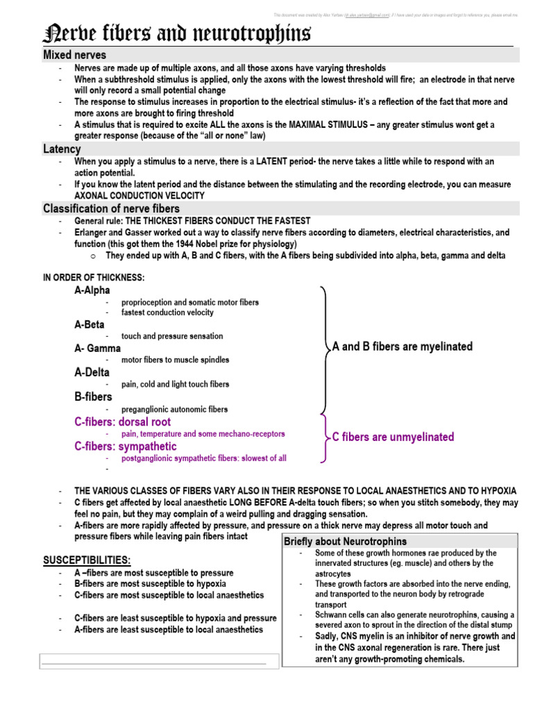 15 Nerve Fiber Types and Susceptibility To Anaesthetics | PDF | Axon ...