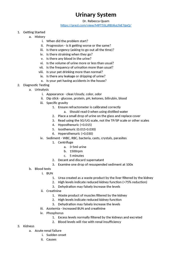 Urinary System Notes | PDF | Urine | Urinary Tract Infection