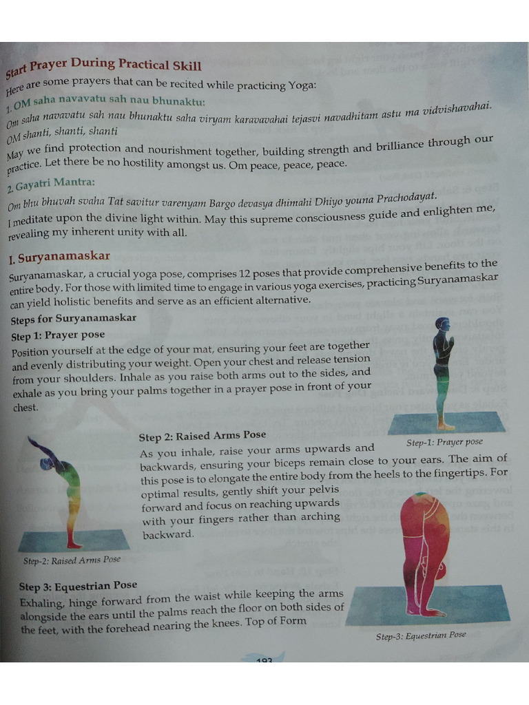 Practical Asanas 12th | PDF