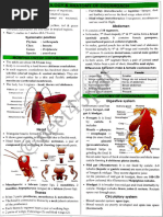 Cockroach Ncert | PDF