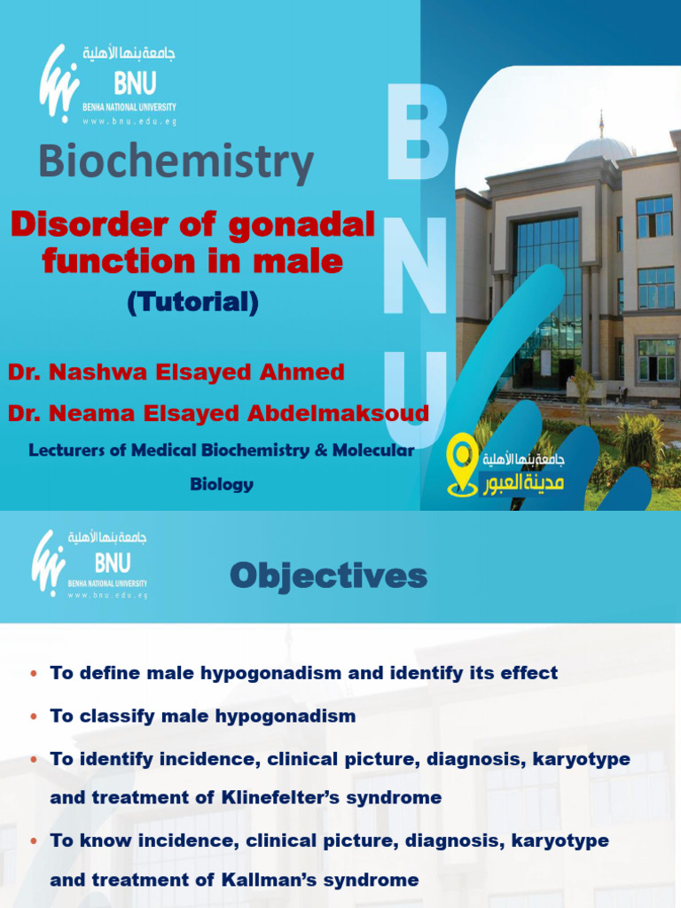 T1 Male Gonadal Dysfunction | PDF | Endocrine Diseases | Sexual Anatomy
