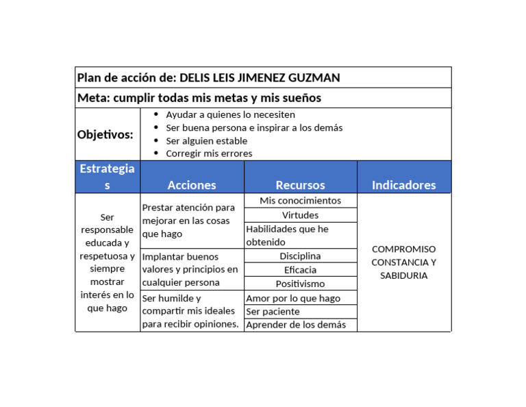 Anexo Plan de Accion | PDF