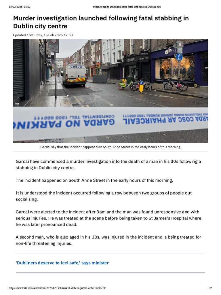 Murder Probe Launched After Fatal Stabbing in Dublin City | PDF
