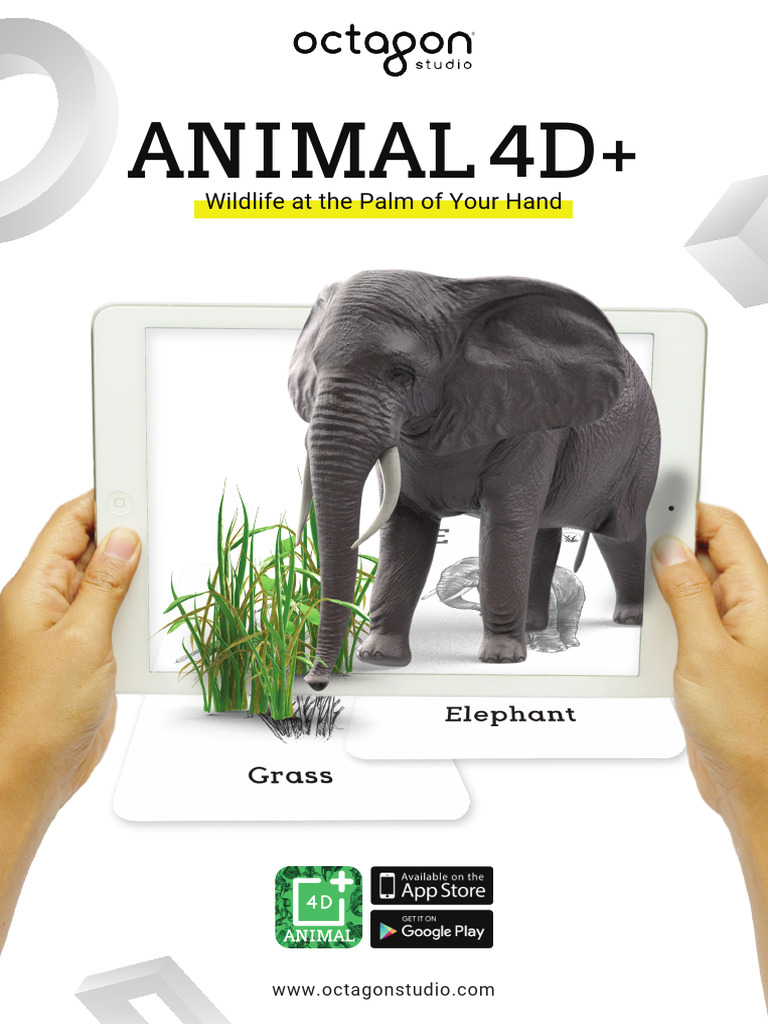 4D+ Animal Flashcards for Kids | PDF