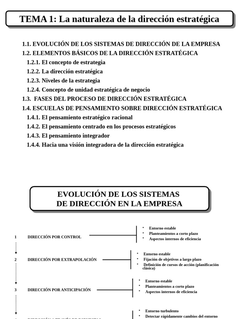 PP Tema 1 AEF | PDF | Business | Planificación