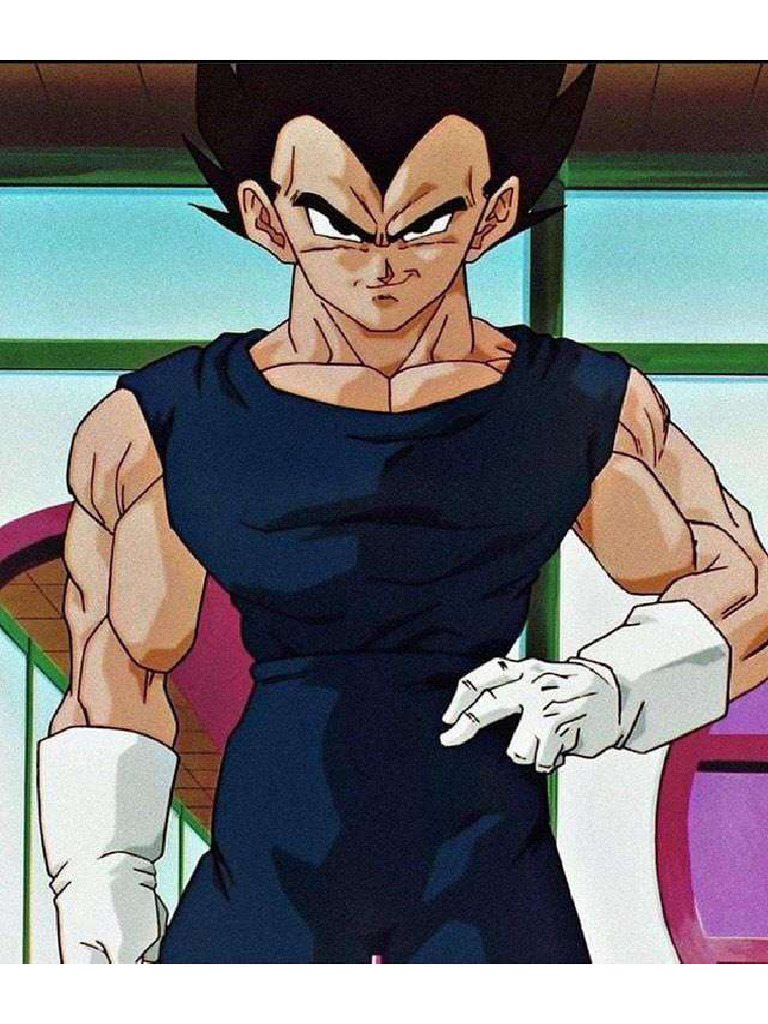 Vegeta Brabo | PDF