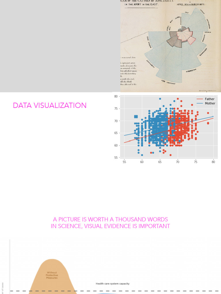 HPS391 - MAT391 - Data - Visualization 2024 | PDF | Florence ...