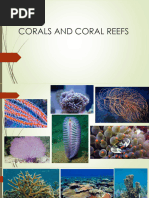 Coral Reef Food Web Dynamics | PDF | Coral Reef | Coral