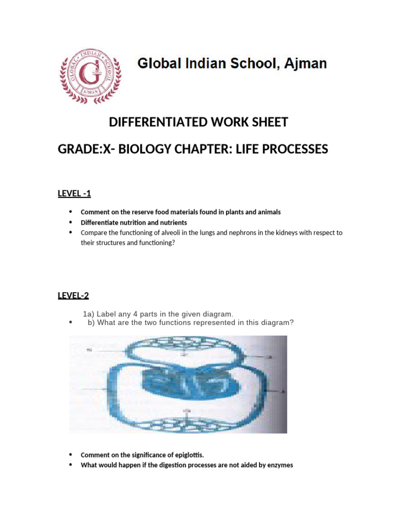 Class 10 Life Processes Worksheet | PDF