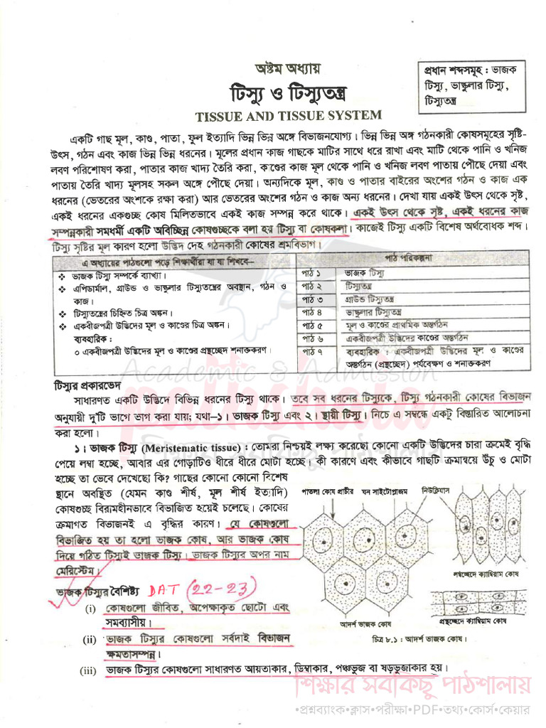 B-1.8 Dagano Book | PDF