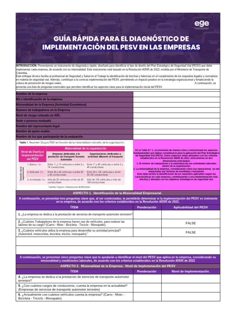 Guia Rápida de Diagnóstico Pesv - 1-2025 | PDF | Business ...