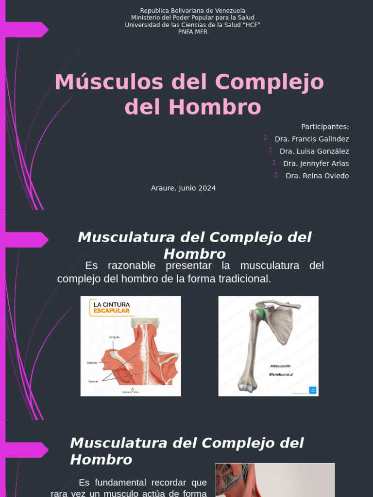 Cintura Escapular (1) Luisa | PDF | Hombro | Sistema esquelético