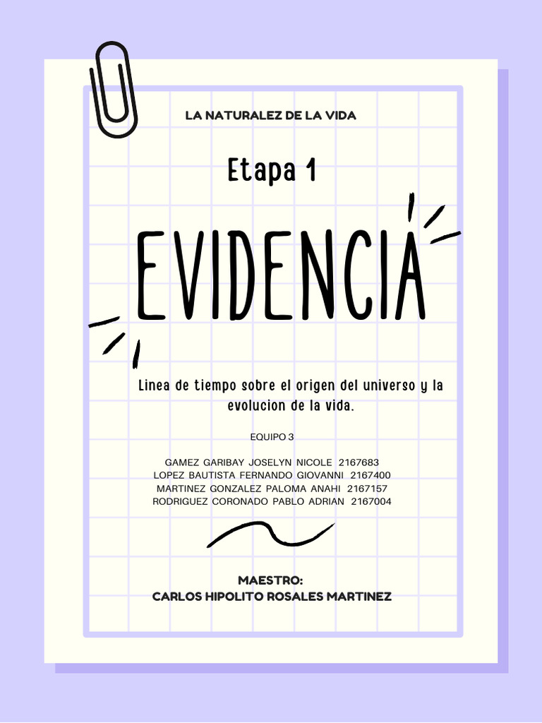 Equipo3 EV1 LaNatVi | PDF